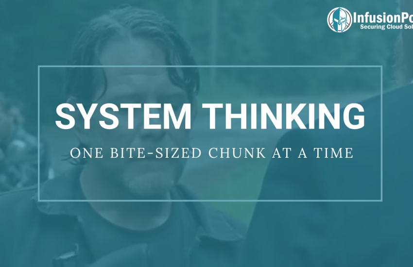 System Thinking – One Bite Sized Chunk at a Time | InfusionPoints